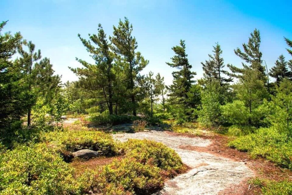 19 Best Hikes in Maine with Stunning Panoramic Views!