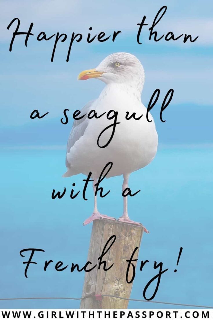 150 Amazing Quotes about the Sea & the Best Sea Quotes Ever