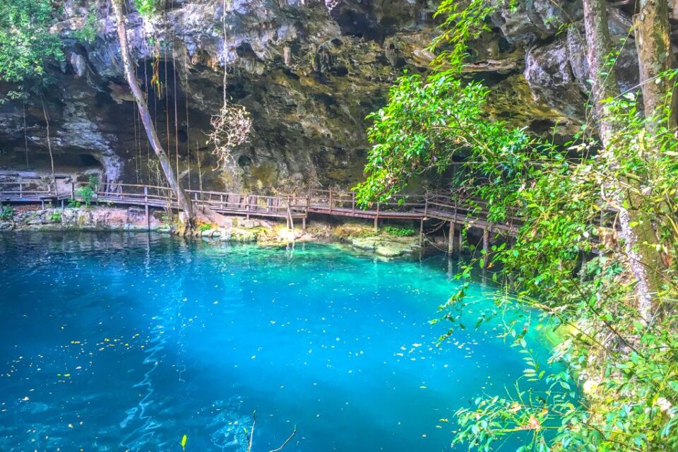 Best Cenotes Near Playa del Carmen - !5 Amazing Cenotes