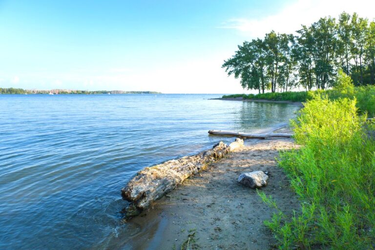 Amazing Local's Guide: 20+ Free Things to do in Toronto