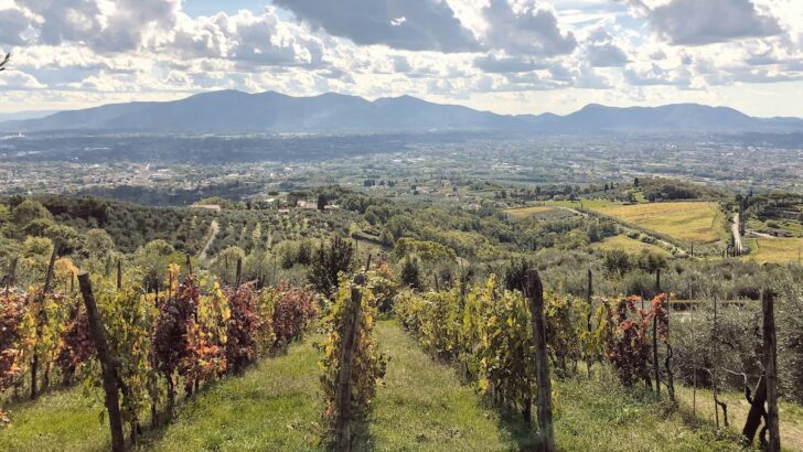 Tuscany in September: Amazing Guide for 2024