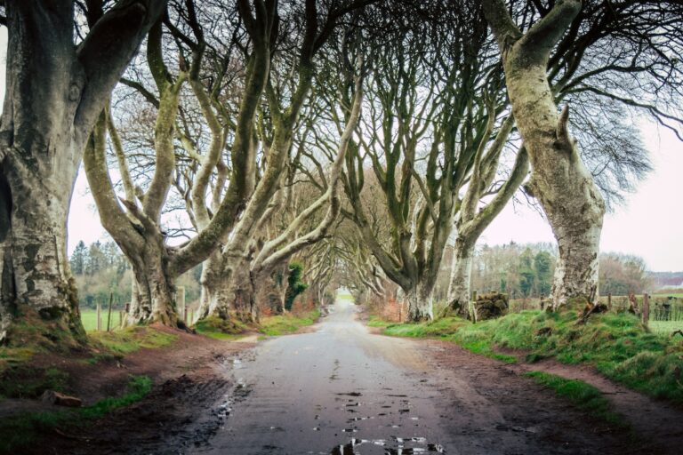19 Most Beautiful Places in Ireland that are Truly Amazing