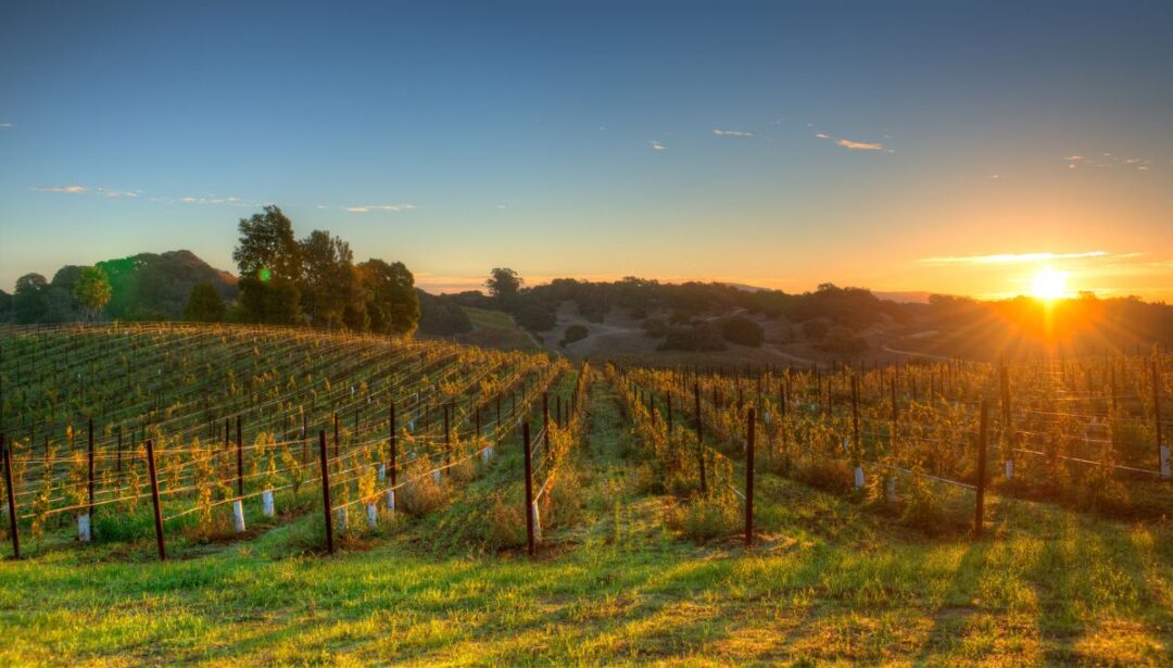 19 Most Beautiful Places in California + Amazing Expert Tips