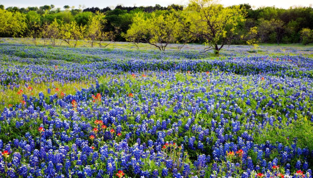 23 Most Beautiful Places in Texas + Amazing Expert Tips
