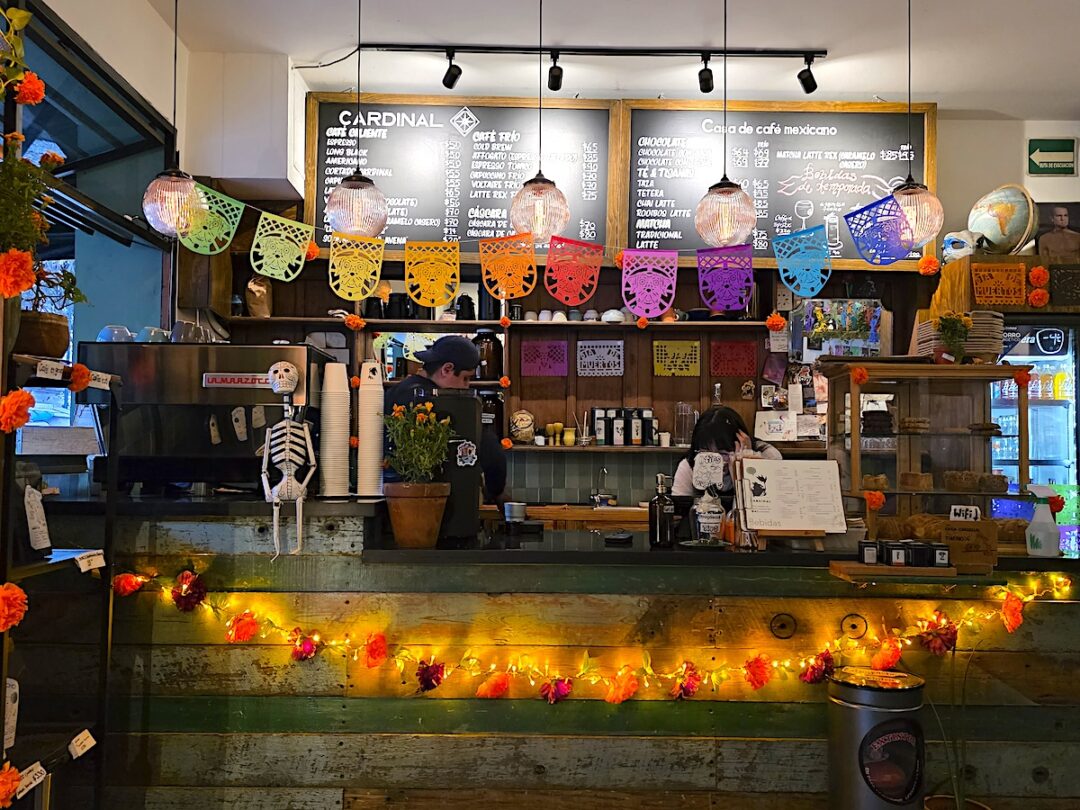 23 Best Cafes in Mexico City + Amazing Tips for 2025