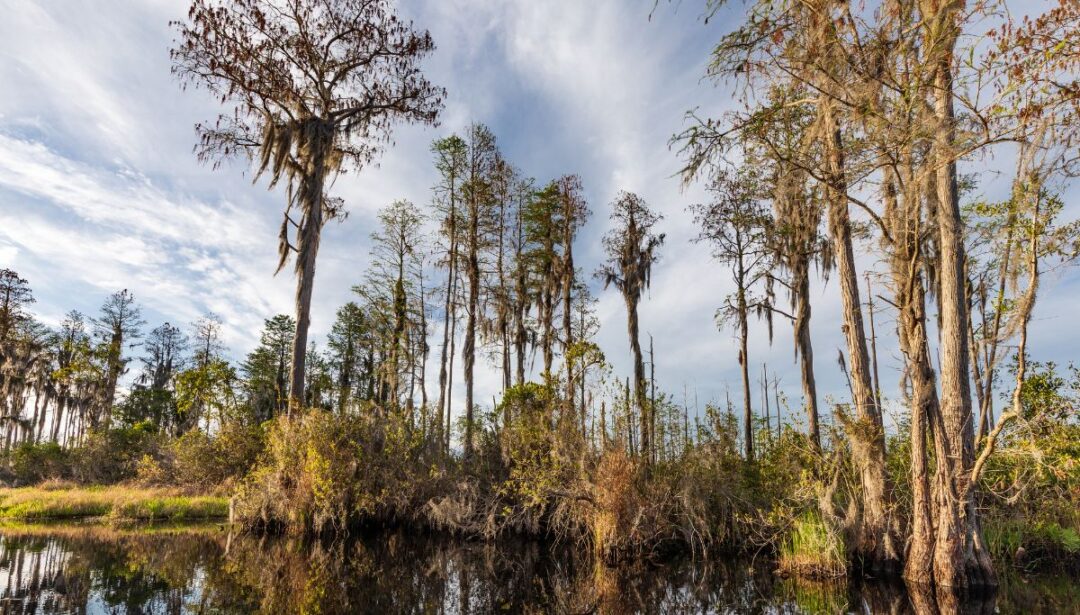 19 Most Beautiful Places in Georgia + Amazing Expert Tips