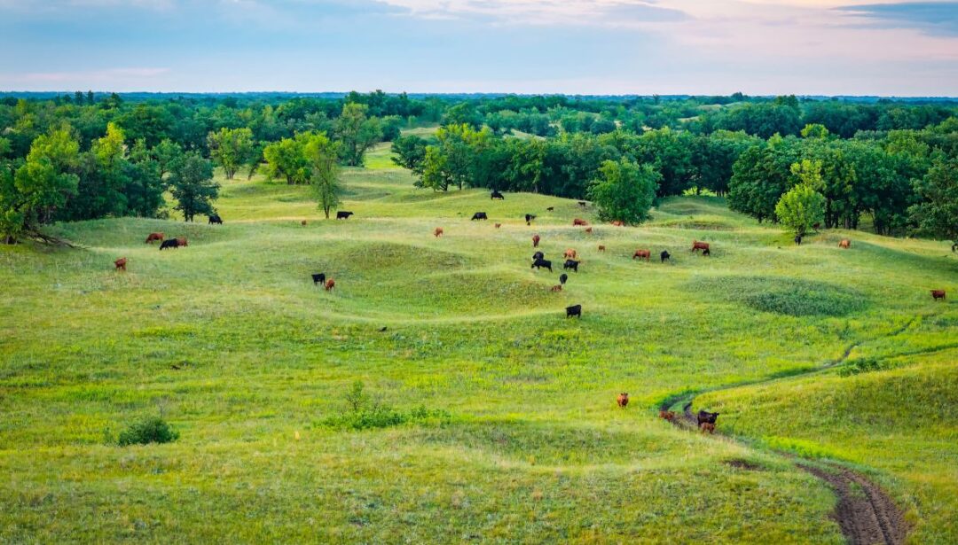 13 Most Beautiful Places in North Dakota + Amazing Tips