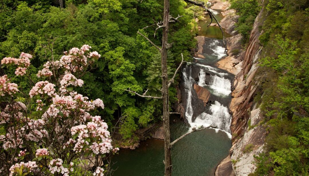 19 Most Beautiful Places in Georgia + Amazing Expert Tips